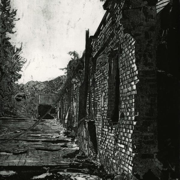 Jenny Mason-Gunning Master Printmaker | Artist | Author