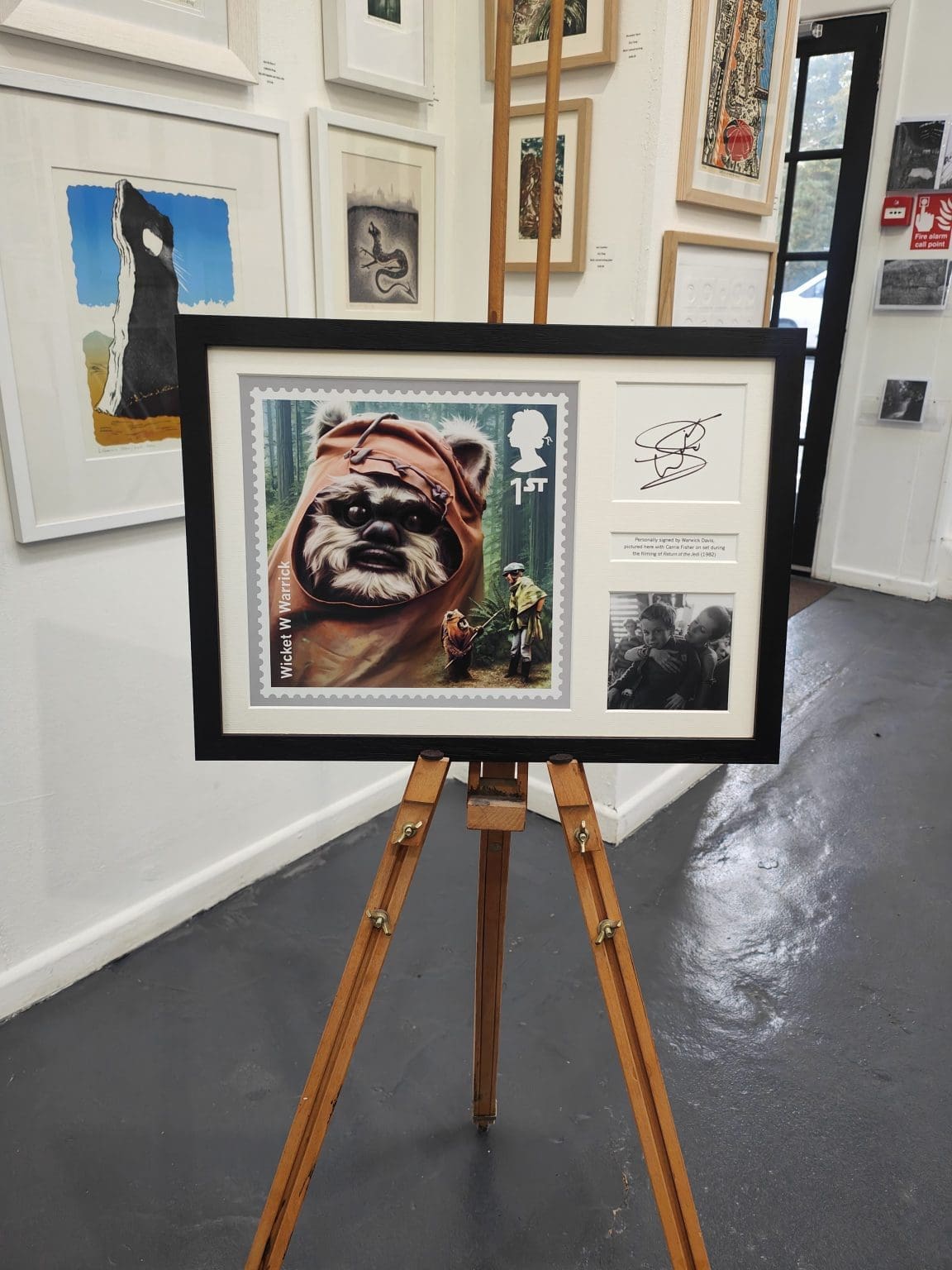 Examples of Finished Frames | Ironbridge Fine Arts and Framing
